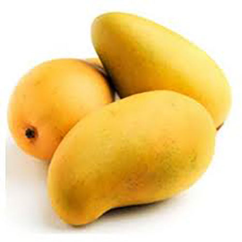 Indian Mango Shop UK | Buy Indian Mangoes Online – Kichri Store
